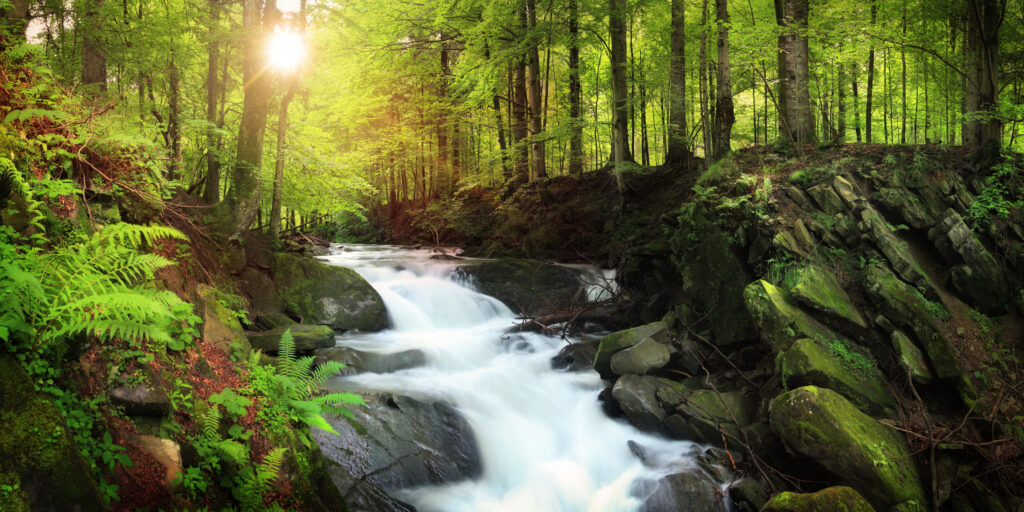 Tapping into the Source - Christian Leadership Alliance