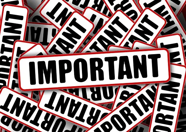 Discerning What is Important by Dustin K. Manis - Christian Leadership ...